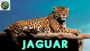 Tiger Vs Jaguar: A Fierce Showdown Of Power And Predatory Instincts