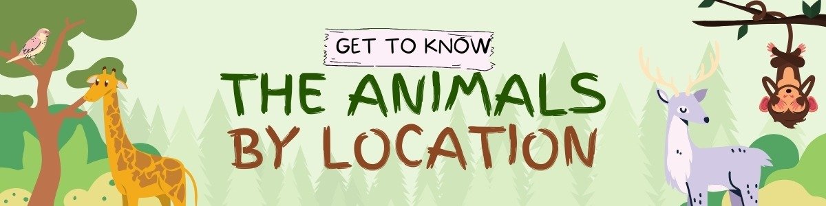 Location - Living Animal