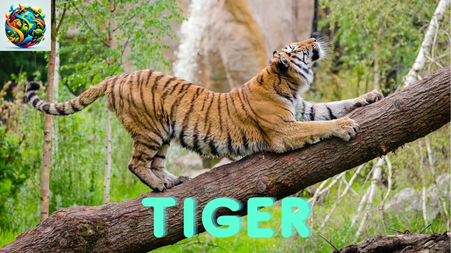 Tiger Vs Jaguar: A Fierce Showdown Of Power And Predatory Instincts